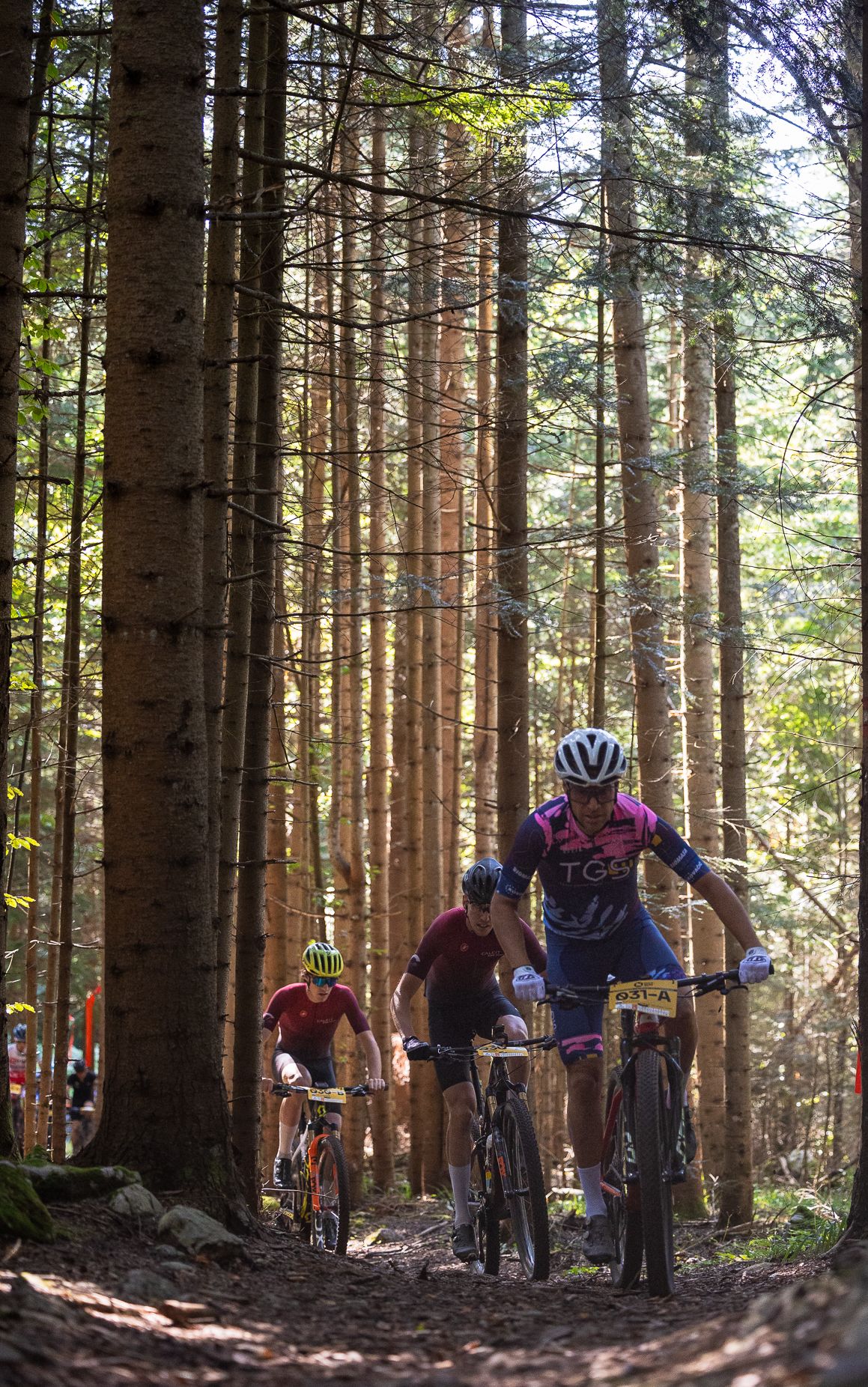 Wild Bear MTB Stage Race – Wild Bear MTB Stage Race