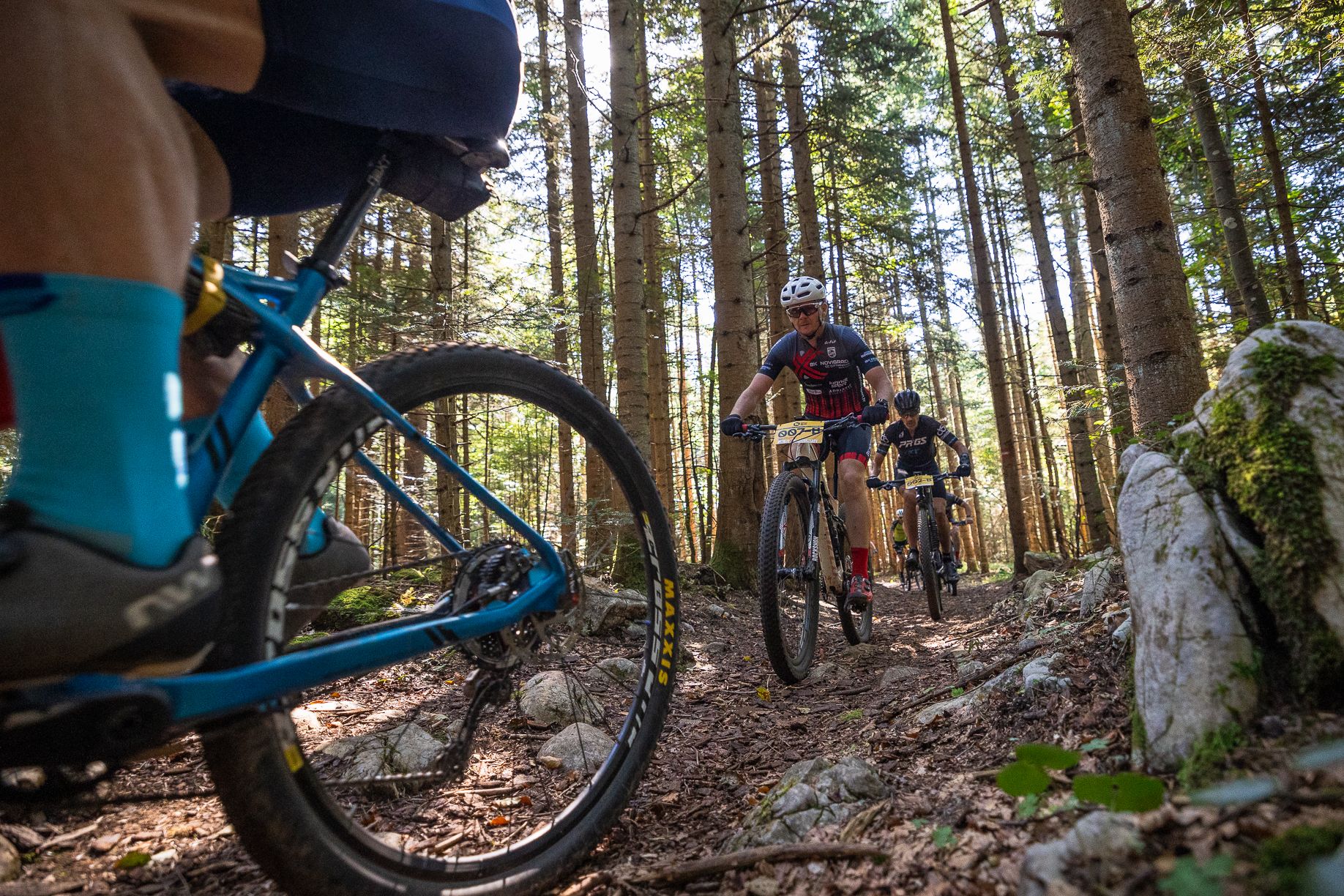 Wild Bear MTB Stage Race – Wild Bear MTB Stage Race